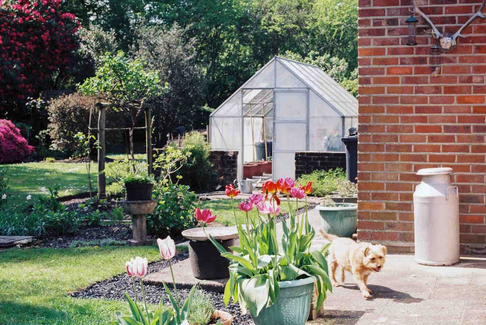 How to set up your Greenhouse - a beginner's guide - Urban Farm Store