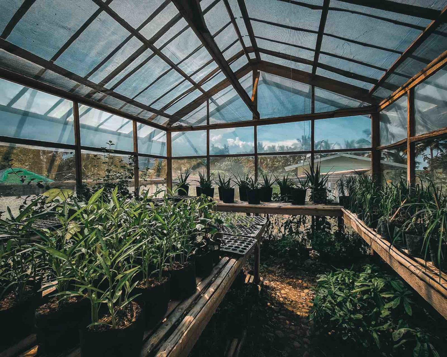 How to set up your Greenhouse - a beginner's guide - Urban Farm Store