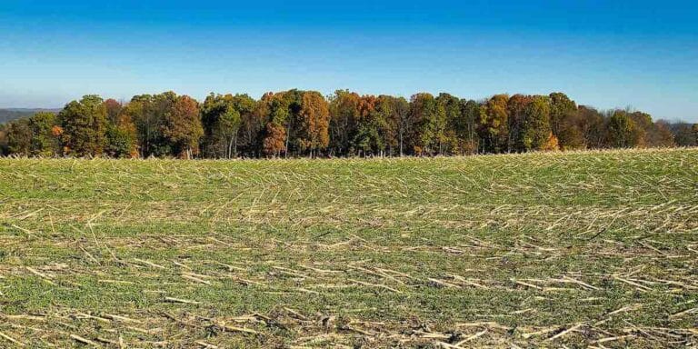 Welcome to UrbanFarmStore 🧑‍🌾 - Urban Farm Store